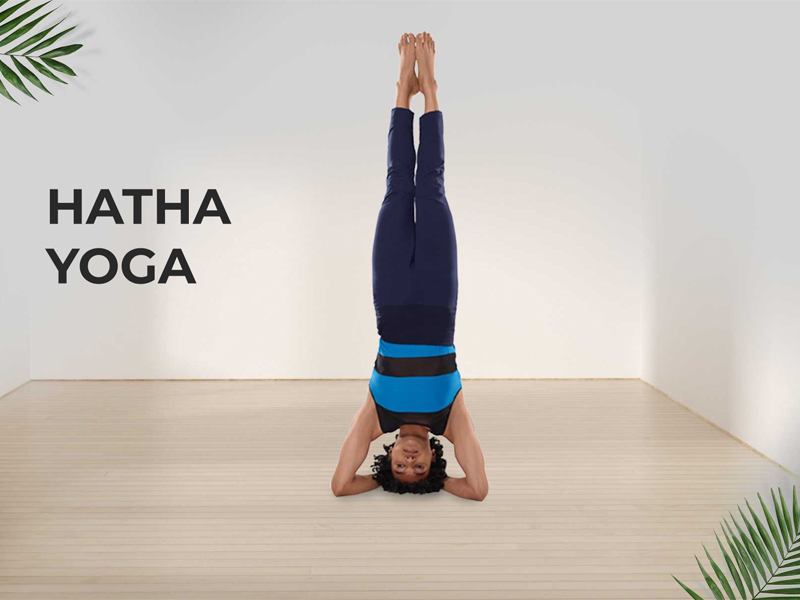 Hatha yoga là gì? Hướng dẫn các bài tập Hatha yoga cho người mới bắt đầu
